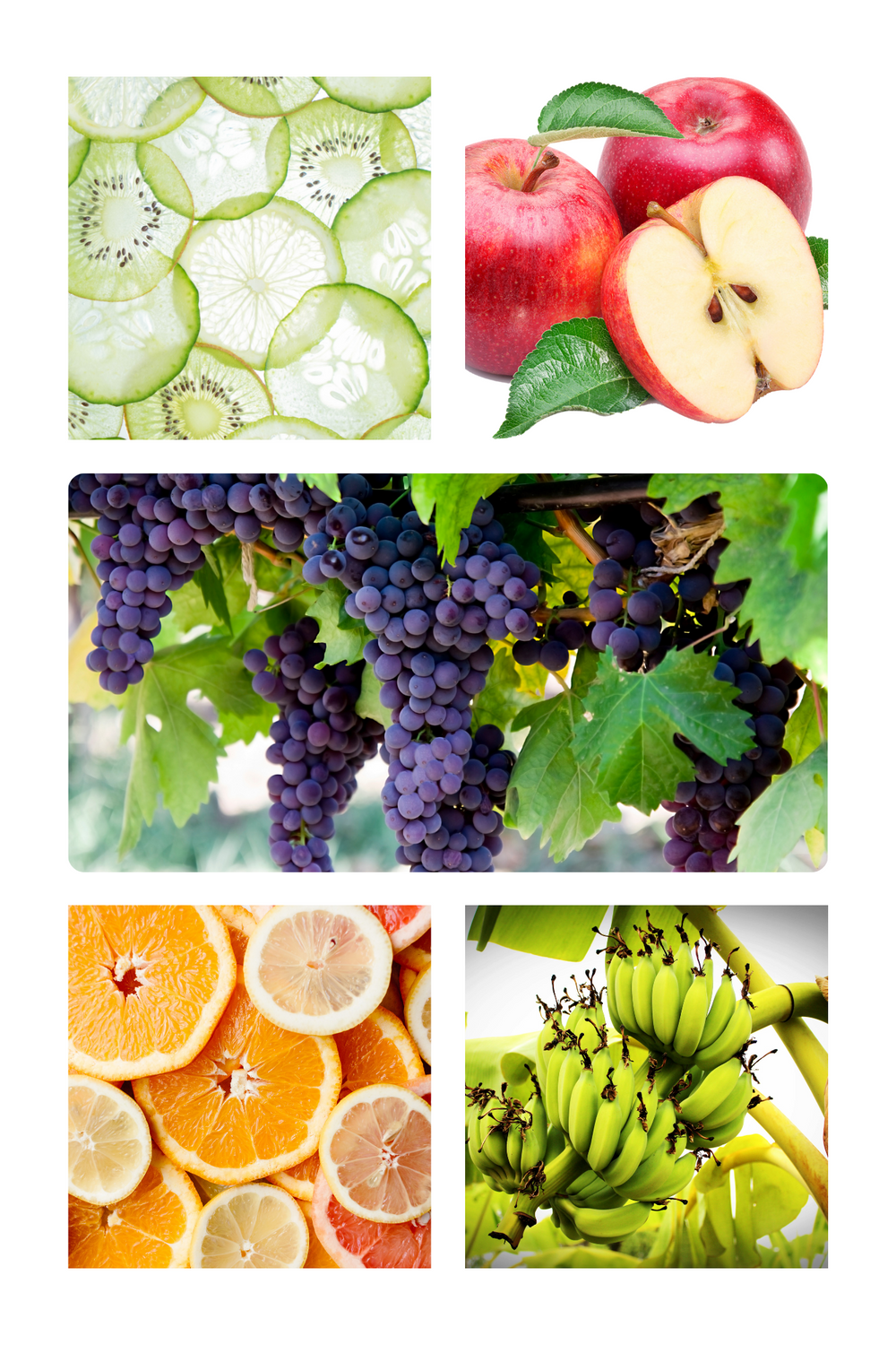 Clean Label bioactive functional ingredients – Extracta Clean Label ...