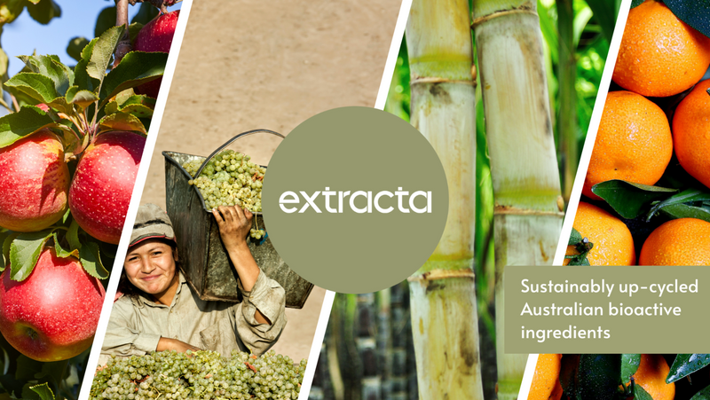 Contact Us – Extracta